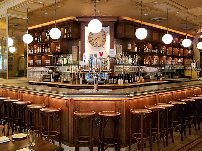 The bar gleams with promise under globe lights, a zinc-topped stage where cocktails and conversations flow with equal enthusiasm.