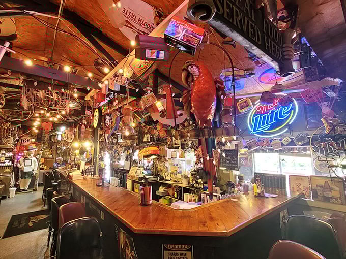 The bar area, where fishing tales grow taller with each round, surrounded by enough memorabilia to open a maritime museum.