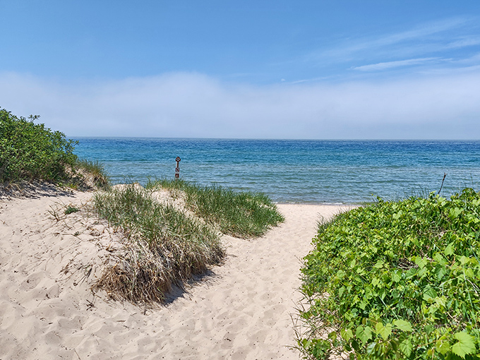 The path less traveled leads to the best rewards. This natural gateway through dune grass promises solitude and spectacular views.