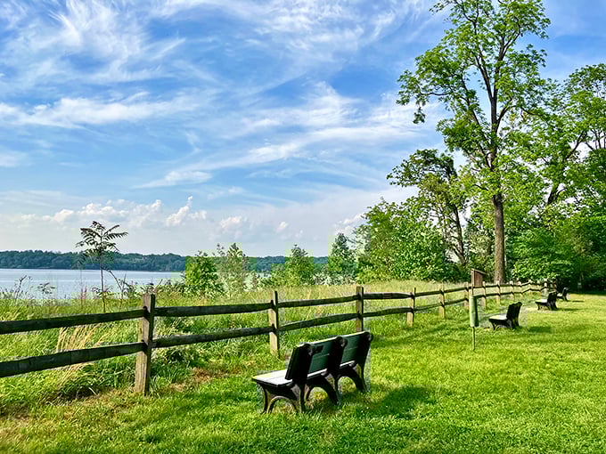 These benches offer front-row seats to nature's continuous performance&mdash;no tickets required, standing ovations always welcome.