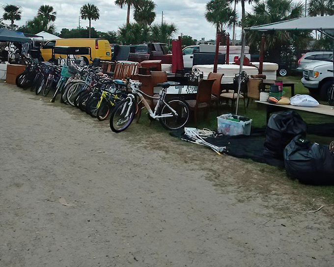 Bicycle brigade ready for new adventures! From beach cruisers to mountain bikes, these wheels are ready to roll into someone's life.