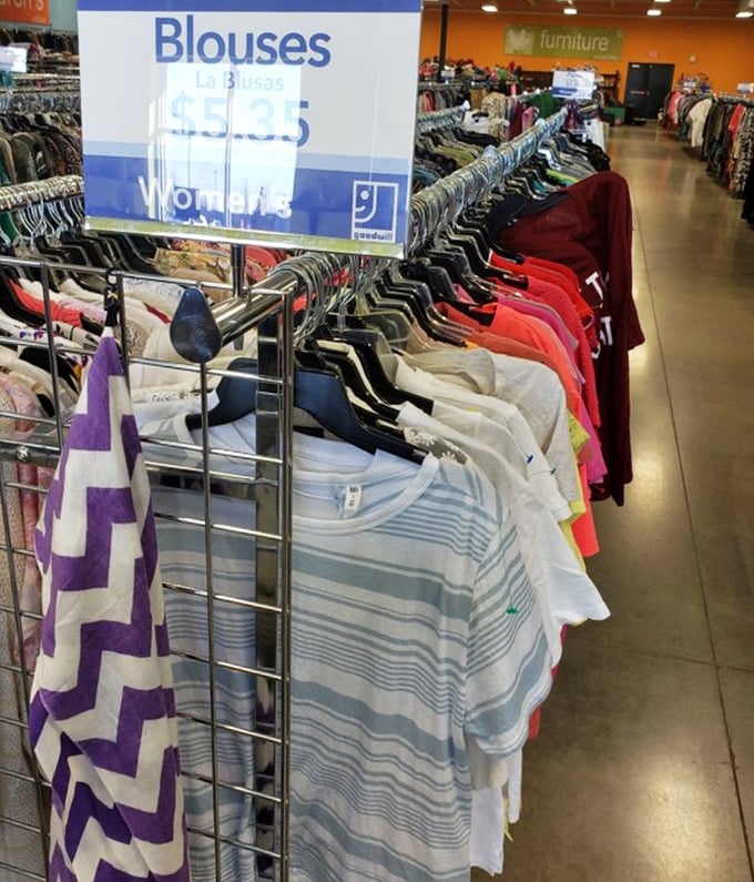 Professional blouses hang ready to transform wardrobes and careers, one affordable button-up at a time for everyone.