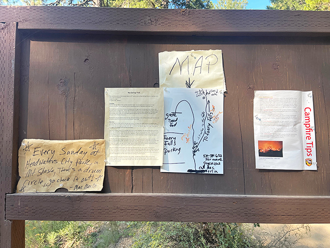 The trailhead's information board &ndash; less high-tech than your smartphone but infinitely more reliable in these woods.