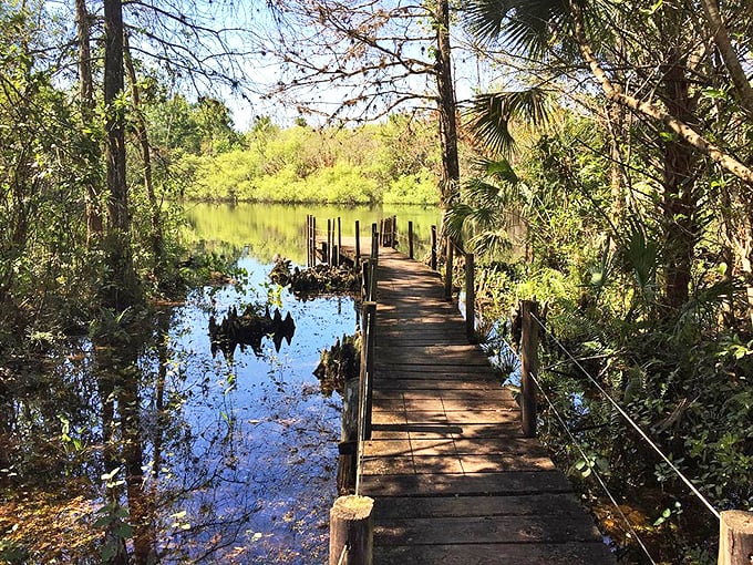 A weathered wooden boardwalk hovers just above the reflective waters, offering safe passage through this primordial landscape.