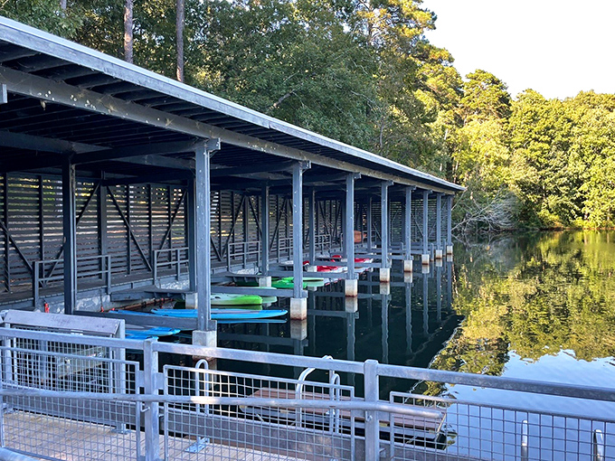 The park's boat house shelters a rainbow of canoes and kayaks, each one a ticket to aquatic adventure.