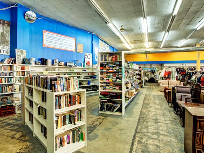 Books that have educated, entertained, and occasionally served as coasters, now waiting for their next chapter with you.