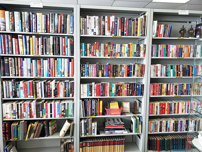 The book section: where dog-eared paperbacks and forgotten bestsellers create a library of possibility. Someone else's literary journey becomes your next adventure.