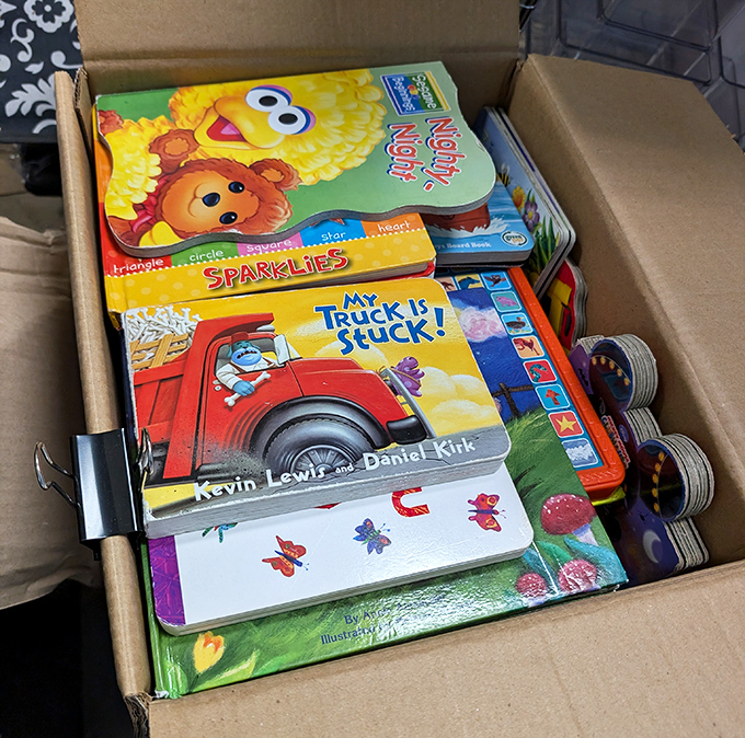 Children's books at bargain prices—because expanding young minds shouldn't shrink adult wallets. That Big Bird book alone is worth the trip.