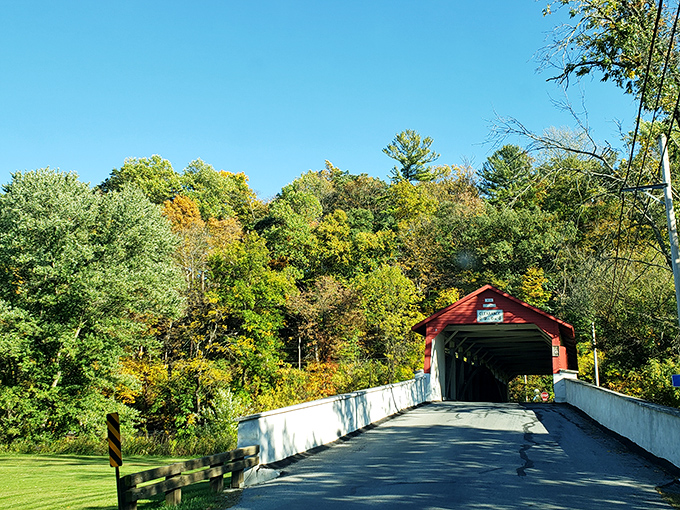 Through the trees, the bridge plays peek-a-boo with visitors, like nature's own version of hide and seek.
