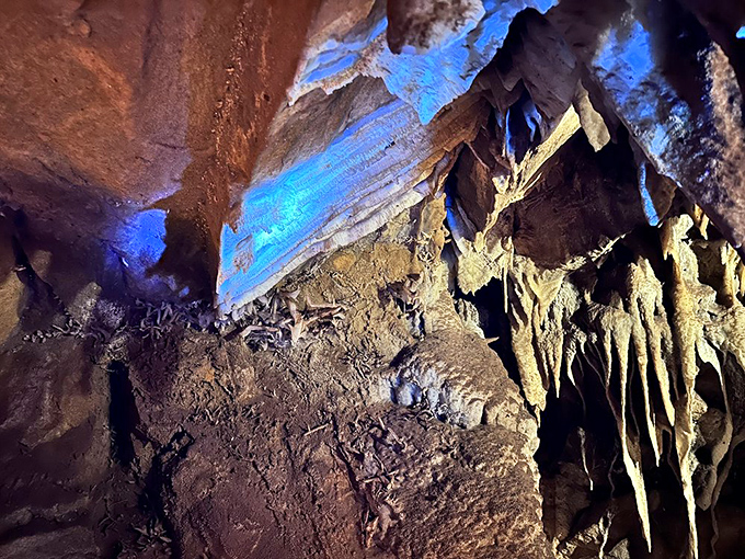Electric blue lighting transforms ordinary rock into extraordinary art, revealing mineral compositions that would otherwise remain hidden in darkness.