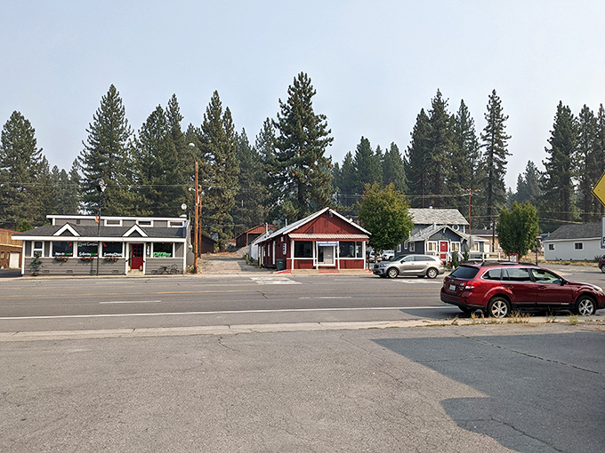 Main Street businesses operate at human scale—no skyscrapers, no pretension, just services you actually need.