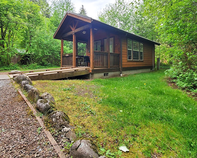 Not all who wander need to rough it. These cozy cabins offer woodland immersion with the civilized touch of actual walls and a roof.