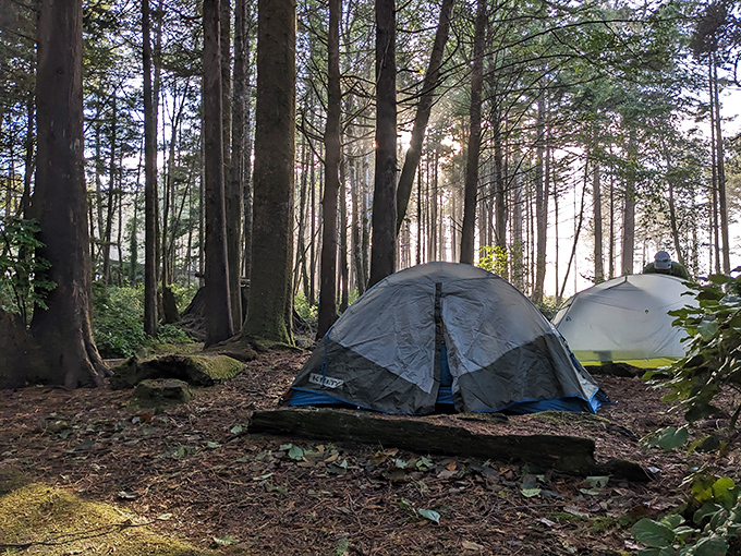 Camping here means trading ceiling fans for towering trees and alarm clocks for birdsong wake-up calls.