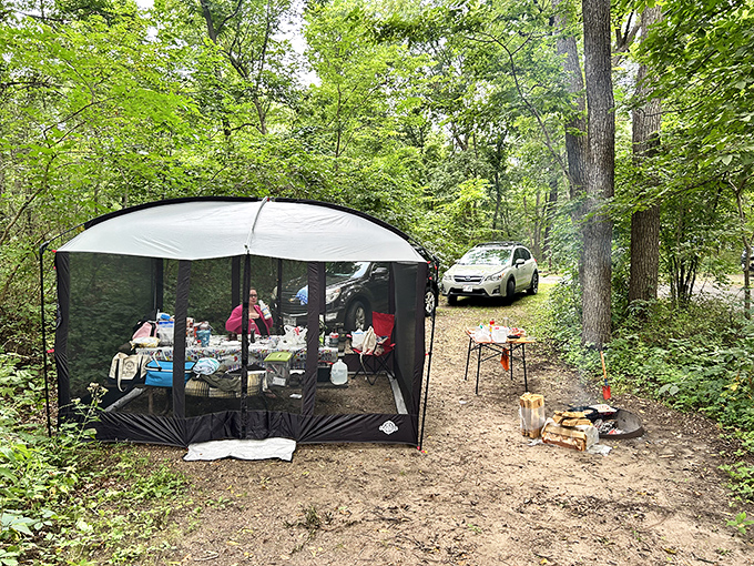 Camping here means waking up to birdsong instead of car alarms &ndash; fair trade, wouldn't you say?