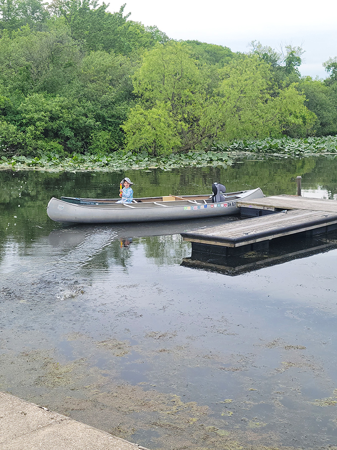 Canoes: the original social distancing vehicle, offering front-row seats to nature's theater where the only admission price is paddle power.