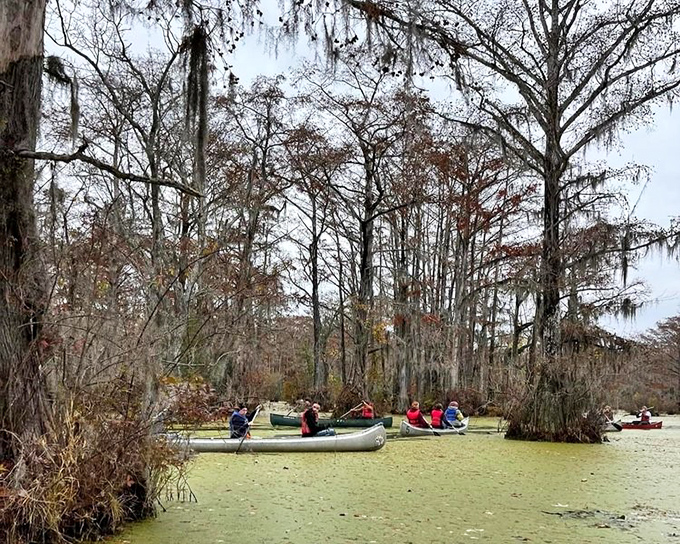 Canoes glide through the duckweed-covered waters like scene from a fairytale. The Spanish moss creates nature's perfect canopy.