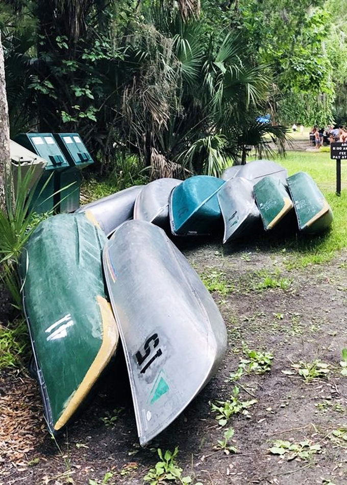 Your chariot awaits! These canoes are your ticket to exploring hidden corners of the springs that feet can't reach.