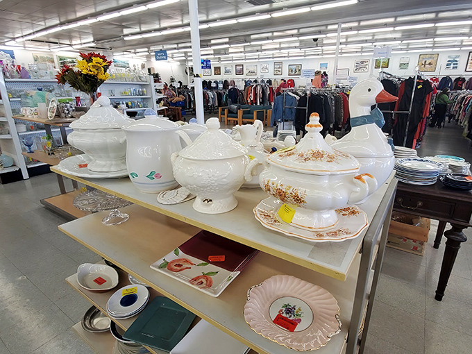 Grandma's china cabinet exploded in the best possible way! These serving pieces have hosted countless family dinners and are ready for yours.