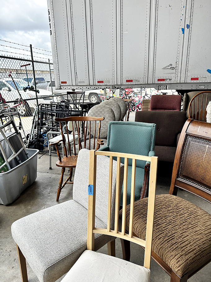 A parliament of chairs holds silent debate, each making its case to become your next favorite reading spot.