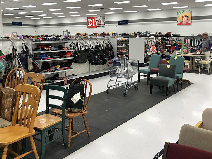 A chair convention where no two delegates look alike, each with its own personality and story to tell.