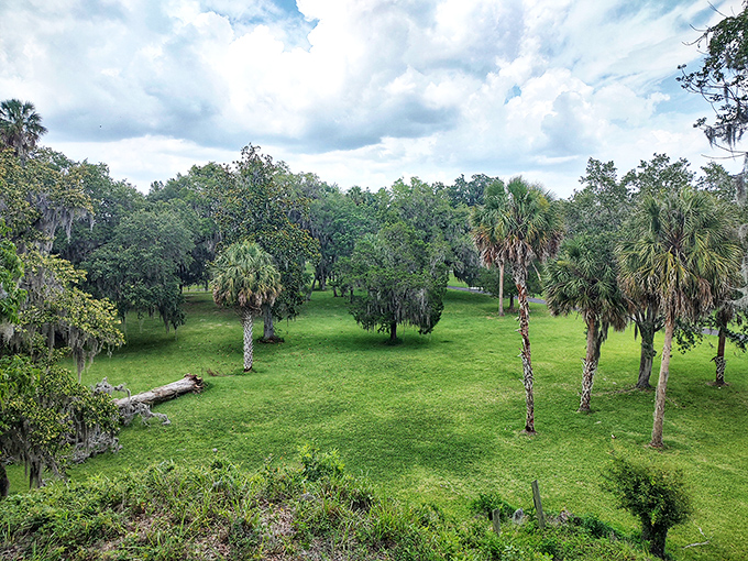 Palm trees punctuate a landscape that's remained largely unchanged since indigenous peoples gathered here to trade, celebrate, and honor their ancestors.