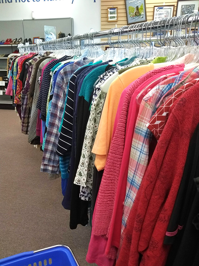 The rainbow of clothing possibilities stretches to the horizon. Each hanger holds a potential wardrobe revolution waiting to be discovered.