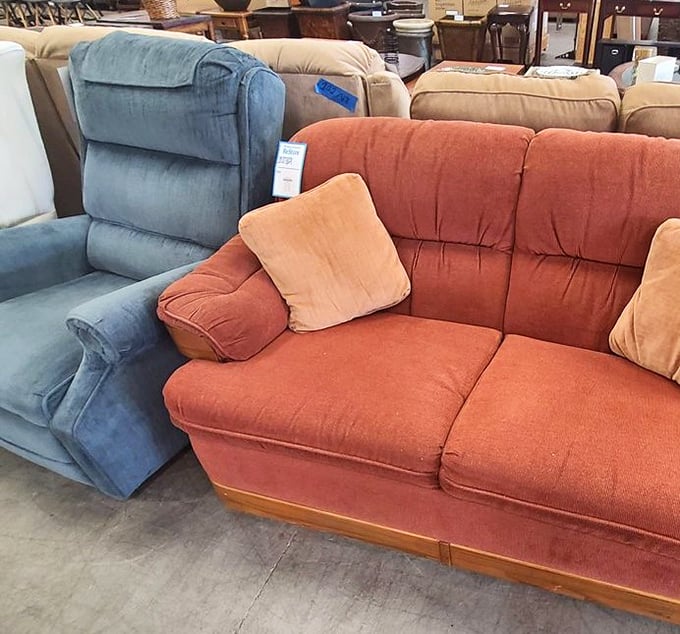 Couches in sunset hues sit side by side like old friends, each one offering a different flavor of comfort for your living room.