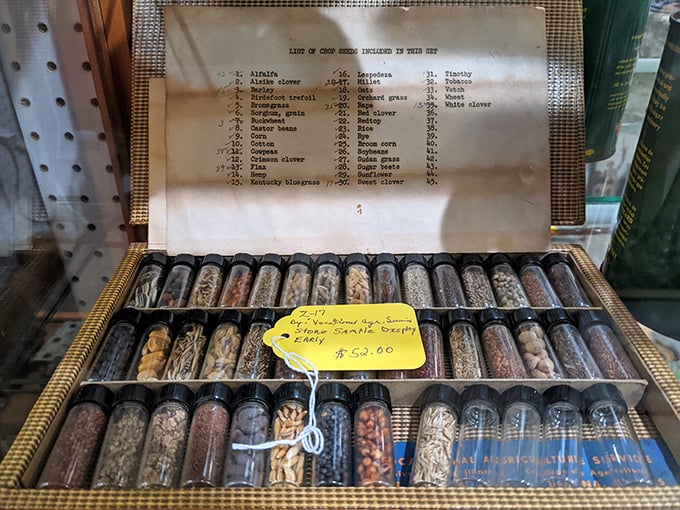 A botanical time capsule! This vintage seed collection offers tiny vials of agricultural history, each labeled with meticulous care from another era. 