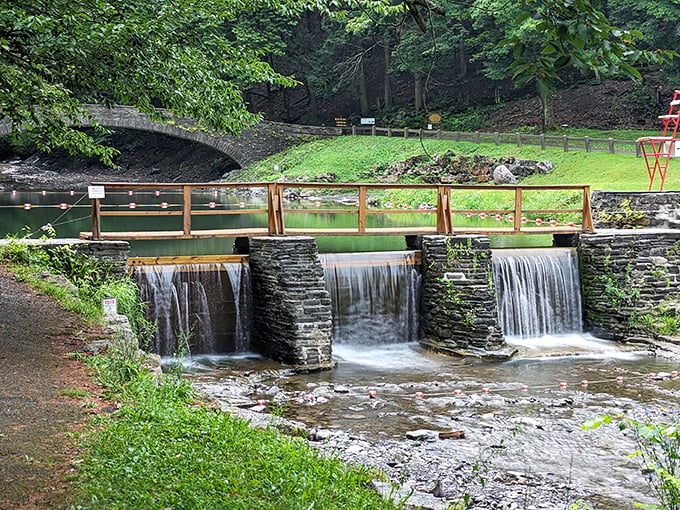 The dam creates a gentle cascade, proving that sometimes the most beautiful things are human-nature collaborations rather than competitions.