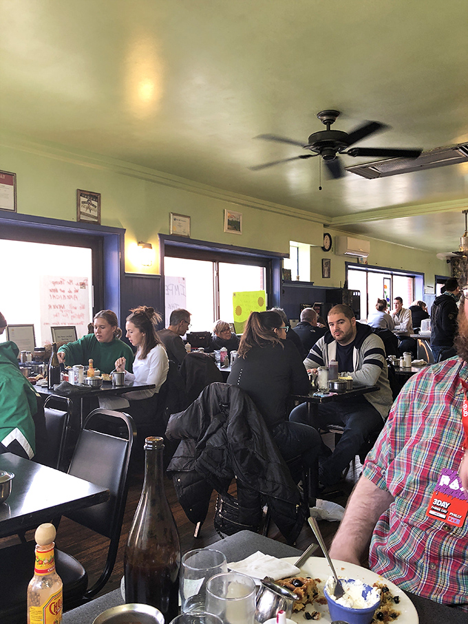 The dining room hums with the satisfied murmurs of patrons who've discovered what breakfast can be when it tries harder. Green walls frame food-focused conversations.