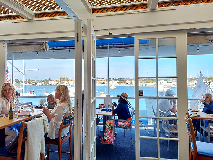 Sunlight streams through windows framing the harbor view, turning an ordinary lunch into the California dream visitors hope for and locals never take for granted.