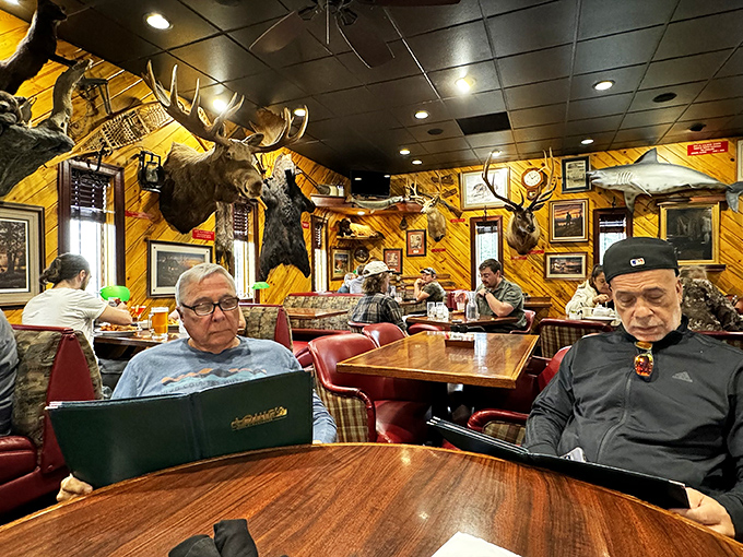 The unofficial town hall of Kenai, where locals gather under the watchful eyes of mounted moose to solve the world's problems over good food.