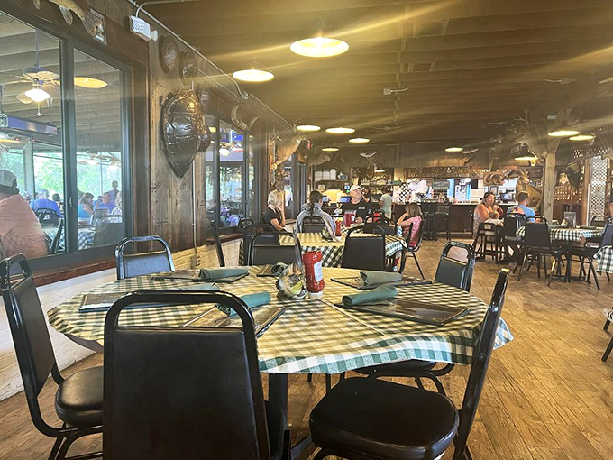 Where taxidermy meets gastronomy. Diners enjoy hearty meals beneath the watchful glass eyes of Florida's wildlife&mdash;a dining experience you'll be talking about for years.