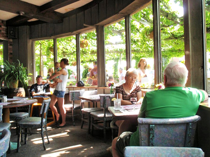 Sunlight streams through the vine-covered windows, creating the perfect lighting for both your meal and your impromptu social media photoshoot.