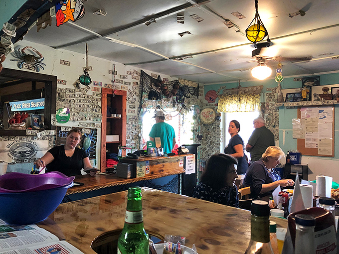 The dining area feels like you've stumbled into a secret club where the password is "fresh seafood" and everyone's welcome.