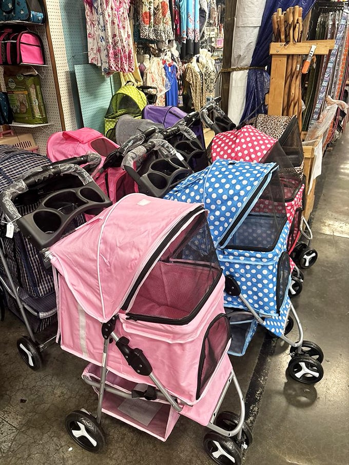 Pampered pooches need not walk! These pet strollers prove that even in bargain hunting, our four-legged friends deserve first-class transportation.