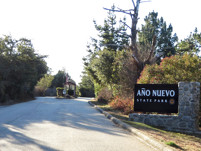 The entrance sign promises "New Year" in Spanish, but delivers timeless natural beauty that changes with each passing season.