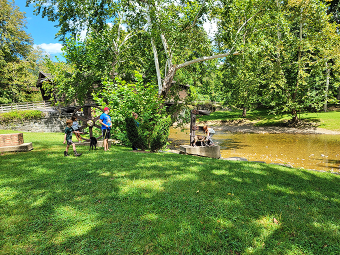 Creek-side family fun that doesn't require charging stations or Wi-Fi. Some entertainment classics never need upgrading.