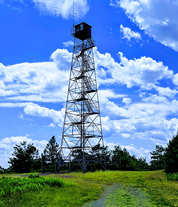 This fire tower stands like a sentinel from another era. Climb up for panoramic views that'll make your smartphone camera feel wholly inadequate.