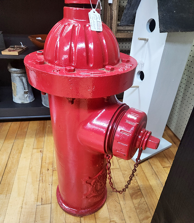 This vintage fire hydrant isn't just decorative – it's a bright red piece of American infrastructure history that saved countless buildings.