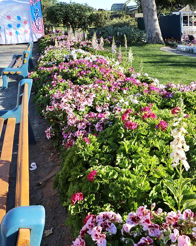 Nature provides its own retail therapy with these vibrant flower beds, offering a moment of zen before diving back into the bargain hunt.