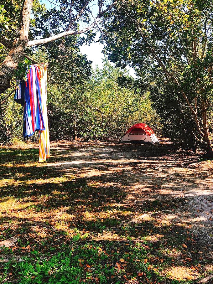 Camping with a tropical twist. These shaded sites offer the perfect balance of wilderness adventure and island tranquility.