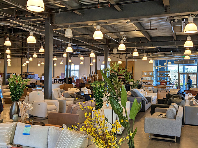 Modern furniture showroom where you can finally afford that couch that doesn't eat loose change.