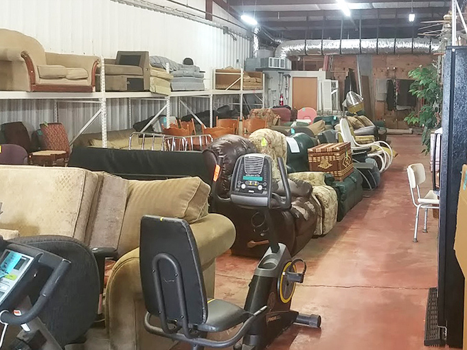 The furniture section: a comfortable chaos where mid-century meets millennium in a showroom that defies all design rules yet somehow works.