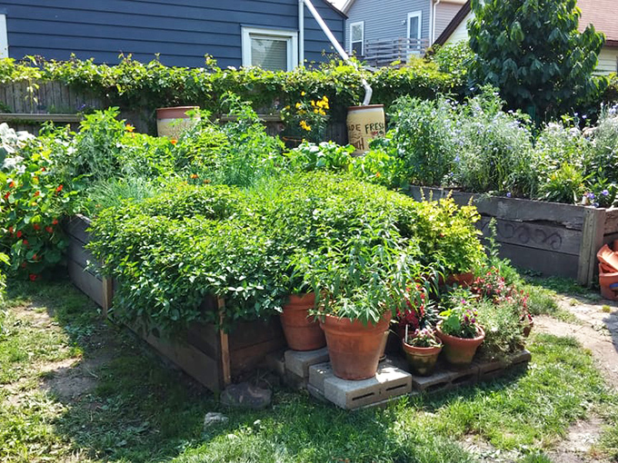 Their backyard garden grows fresh herbs and vegetables that travel mere footsteps from soil to your plate each morning.