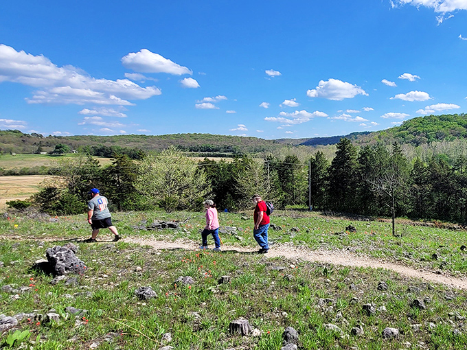 Three hikers forge their path across open glades. Sometimes the best conversations happen when there's nothing but sky above you.
