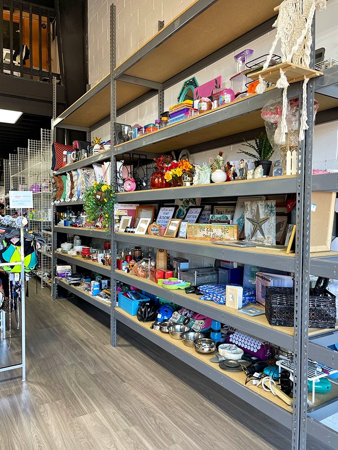 From practical shelving to whimsical decor, the home goods section helps transform houses into homes without emptying bank accounts.