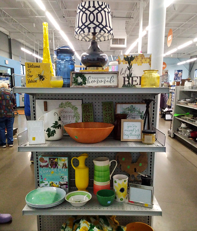 Decorative displays that could be straight from a boutique, not a thrift store. That blue lamp and "Welcome to Our Hive" sign? Instant personality for any room.
