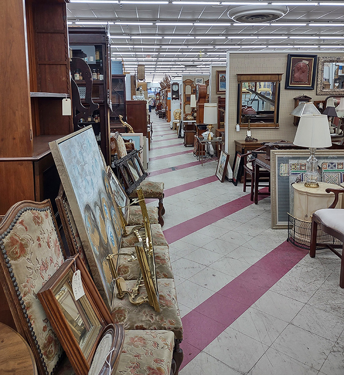 Where artwork meets taxidermy under a "NEW ITEMS EVERYDAY" promise&mdash;only in a thrift store can these worlds collide so beautifully.