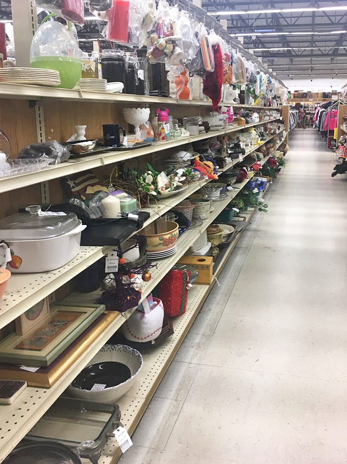 The housewares aisle stretches toward infinity, a domestic time capsule where your grandmother's favorite serving dish is waiting to be rediscovered.